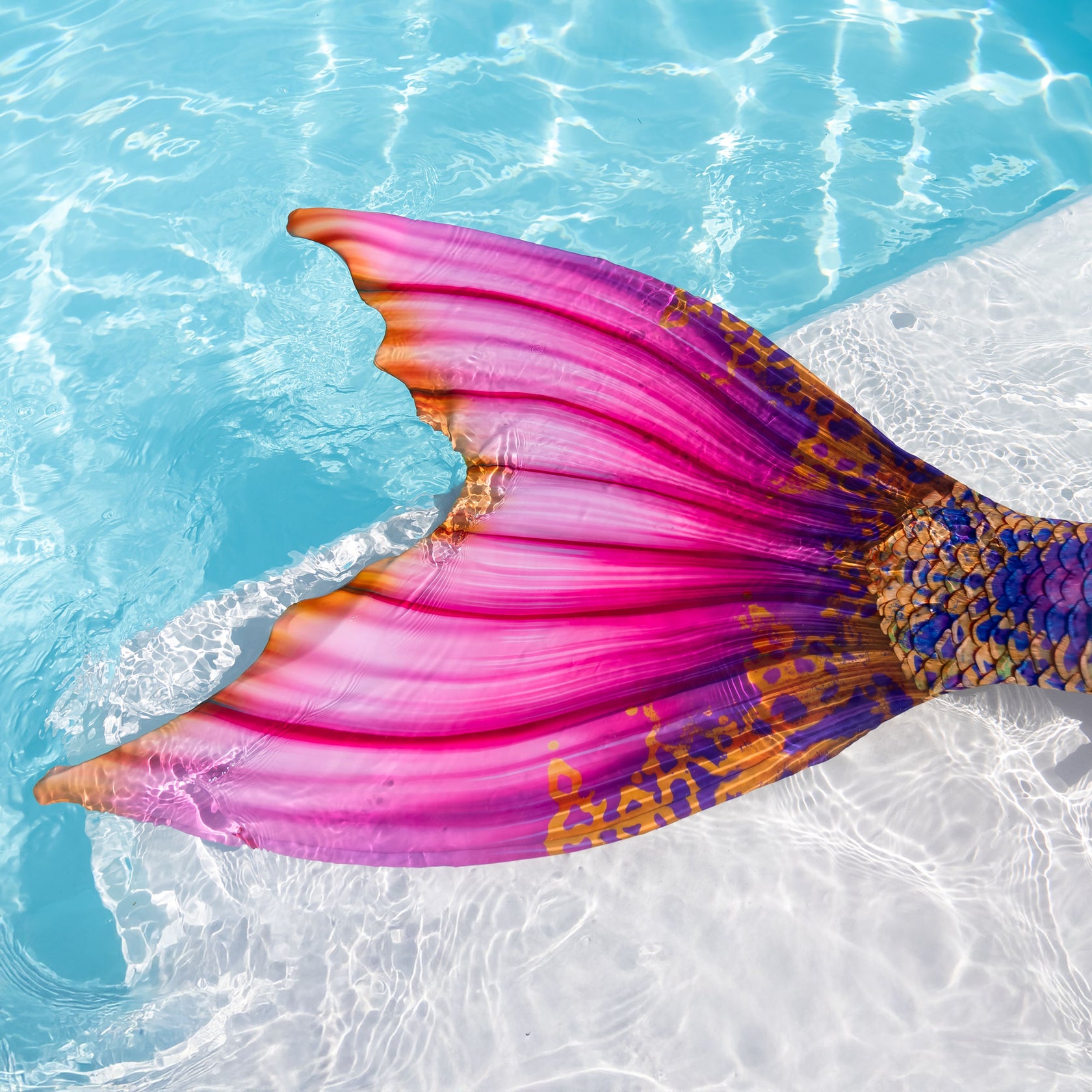 Rose Calypso Elite Mermaid Tail – Fin Fun Mermaid
