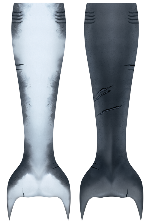 New Great White Shark Fantasy Starter Tail with Monofin – Fin Fun Mermaid